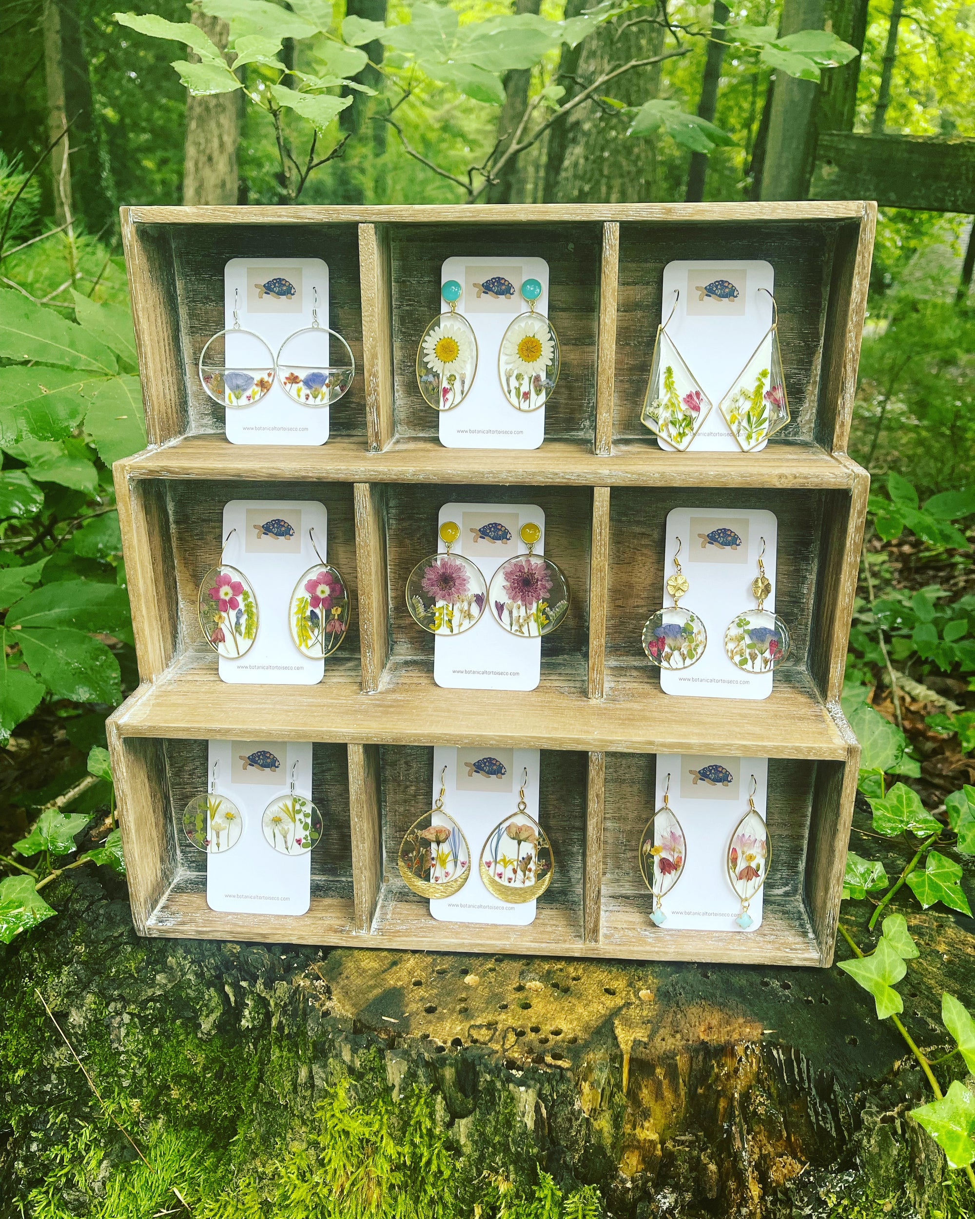 Botanical Tortoise Co.